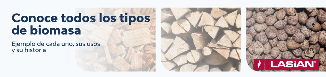 Conoce todos los tipos de biomasa, sus usos y su historia